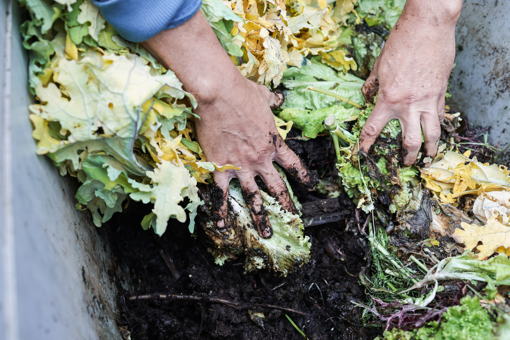 How Long To Make Compost How To Decompose Faster Electric Composter Good how-long-to-make-compost-how-to-decompose-faster-electric-composter-good
